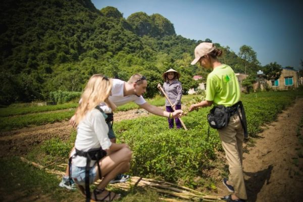 A Must-Have Halong Bay Travel Guide For First Time Travelers (2020)